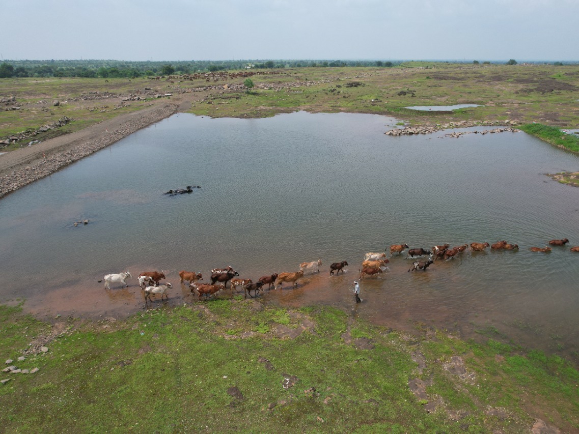 Work of 150 Amrit Sarovars completed | 150 अमृत सरोवरों का कार्य पूर्ण ...