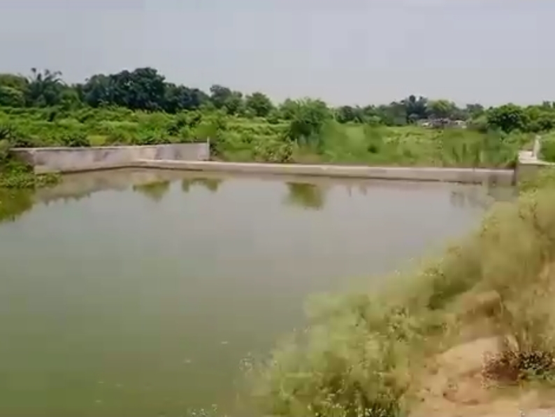 Boy died due to drowning in Jilha Talab of Majhgawan | मझगवां के ...