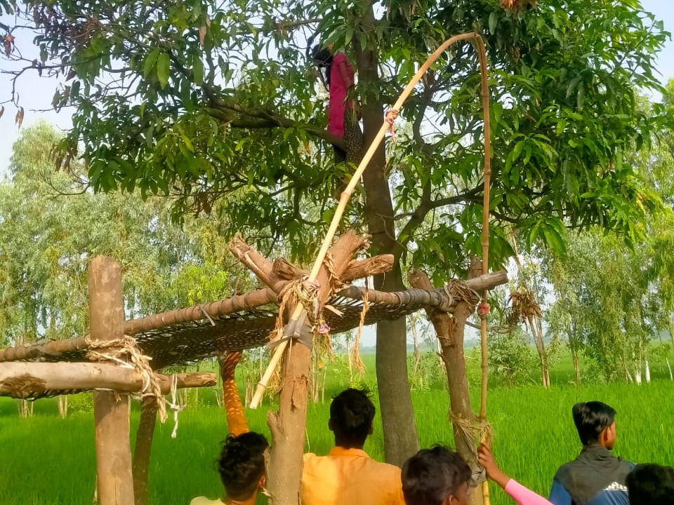 Girl's body found hanging from mango tree | मां के साथ खेत में गई थी ...
