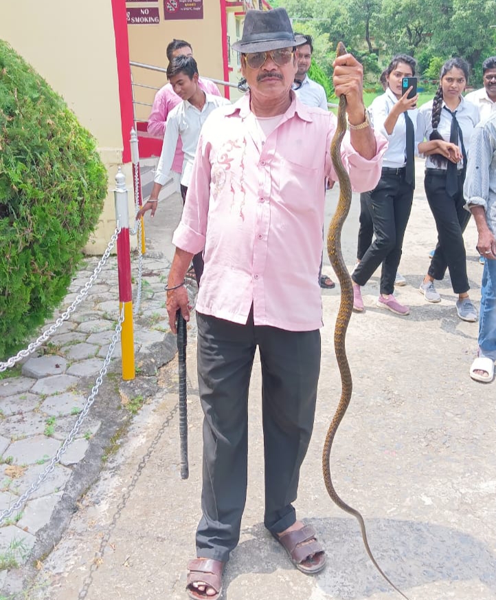 6 feet long snake entered in Polytechnic College of Sagar | सागर के ...