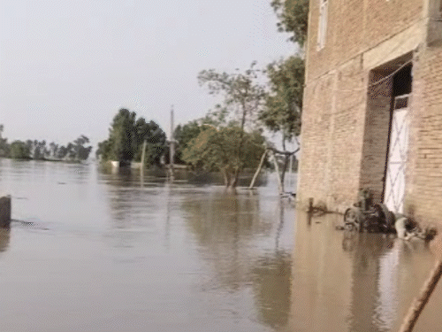 Punjab Flood Conditions; Bhakra Dam Pong Dam Water Level | Amritsar ...