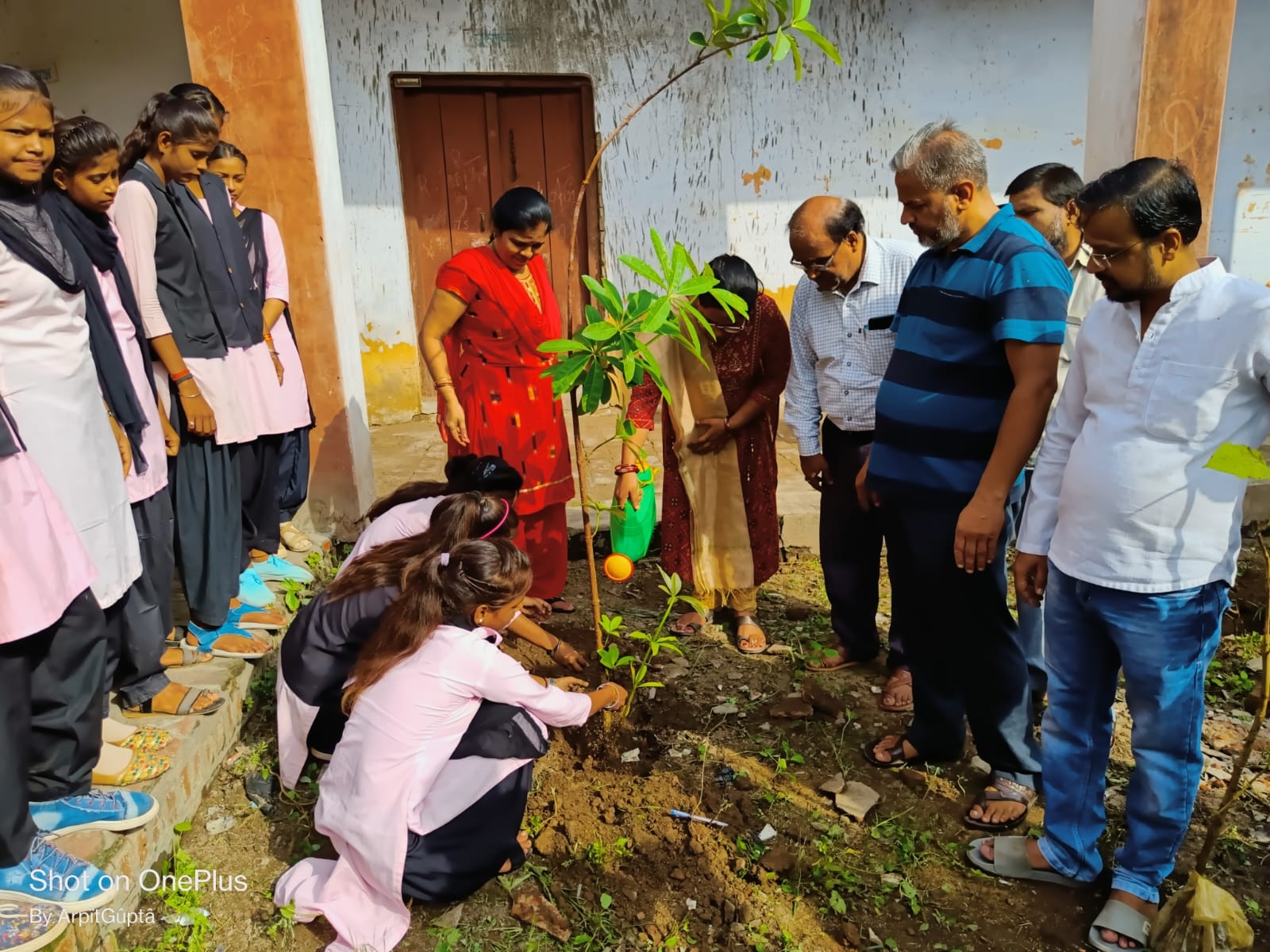 Plantation and yoga camp organized in Auraiya Devkali Dham-Prangan ...