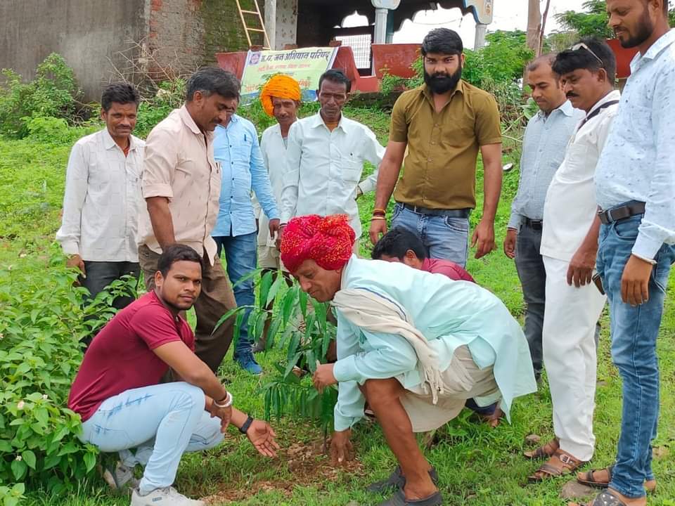 Planting and distribution of saplings | पौधरोपण कर पौधों का किया वितरण ...