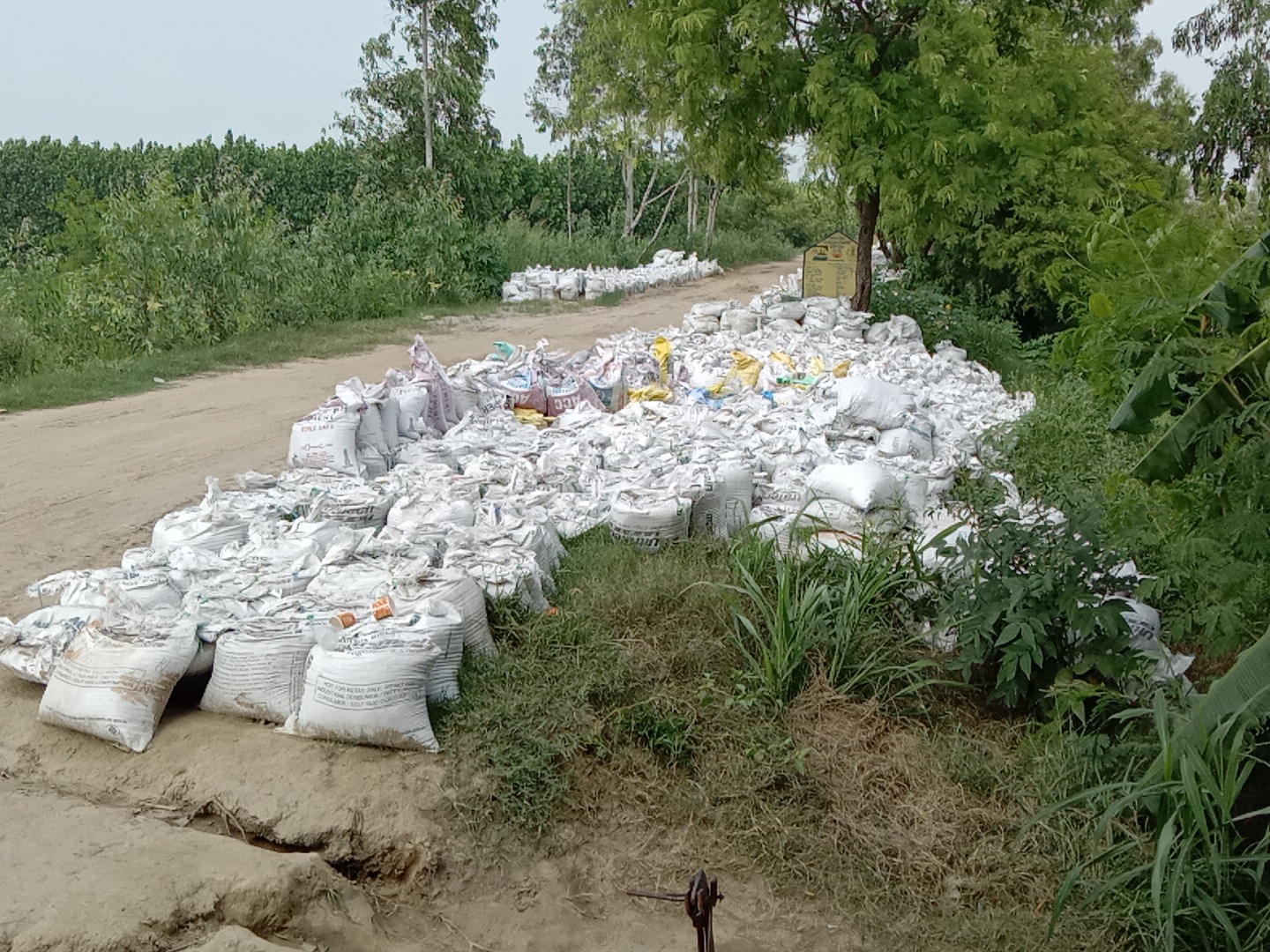 Punjab Flood Update | Bhakra Dam Water Level, Ropar Head Works, Sutlej ...