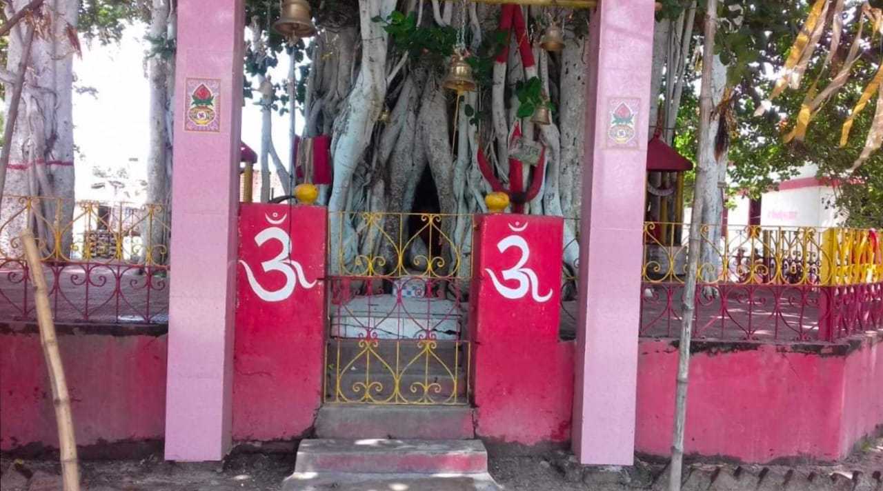 Shiva among the trees: Lord Shiva resides in the trees grown at the ...