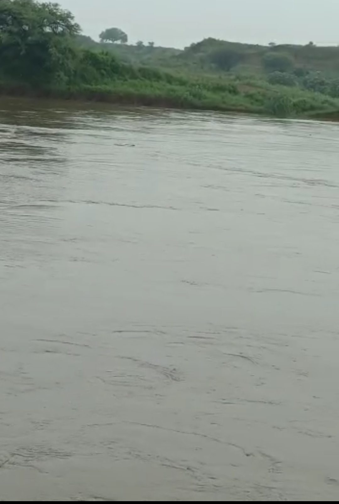 Boiling virgin river in Morena | मुरैना में उफनी कुंवारी नदी: जारौली ...