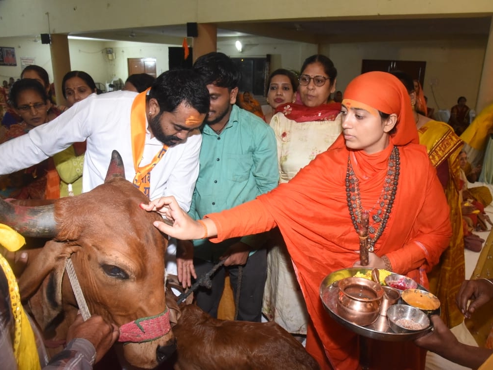 Five-day story of mother cow in Akhand Paramdham of Indore | इंदौर के अखंड परमधाम में पांच ...