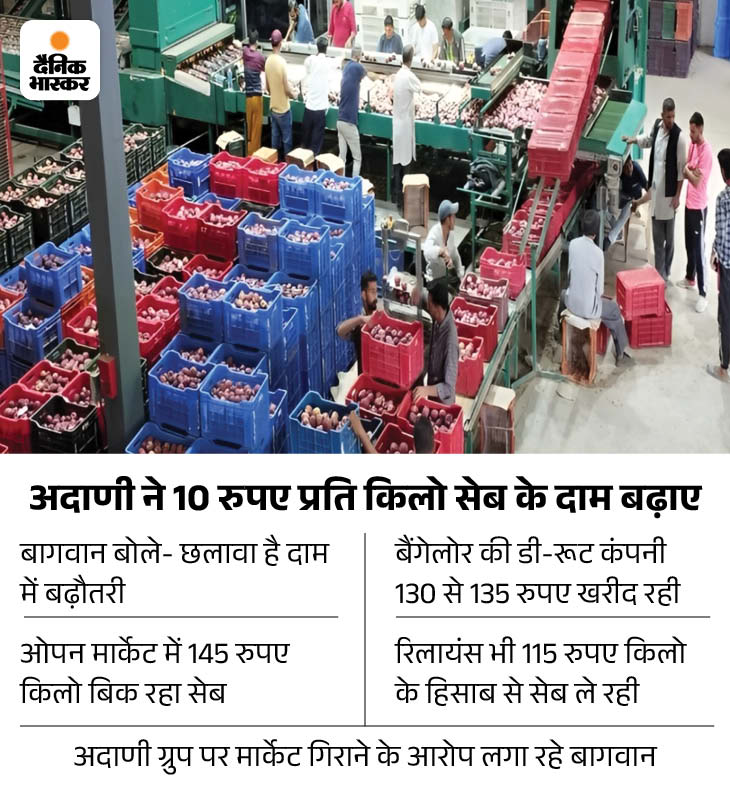Shimla: Adani opens apple rates; Less price | Apple growers furious ...