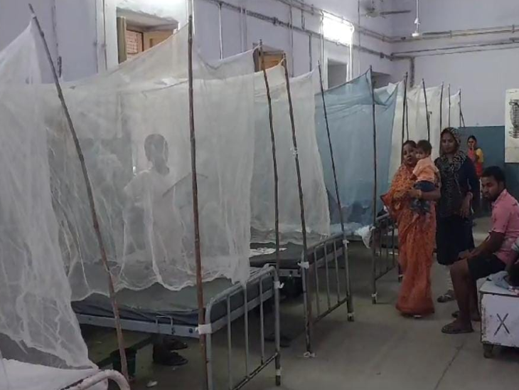Rajasthan kota Dengue figures cross 290 in Kota, mosquito nets installed in ward of MBS Hospital ...