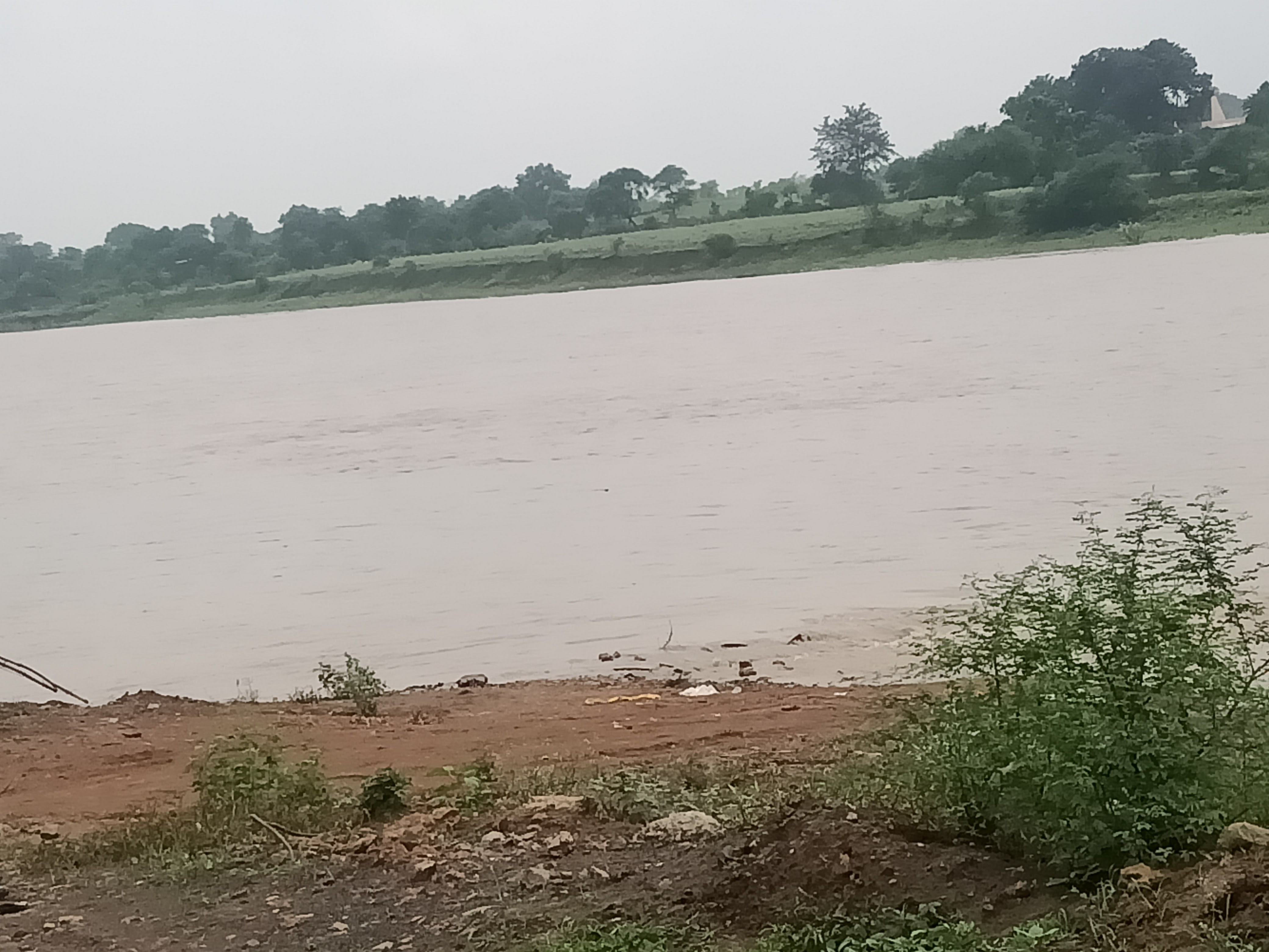 Design work started, tenders for four big pillar bridges including box ...