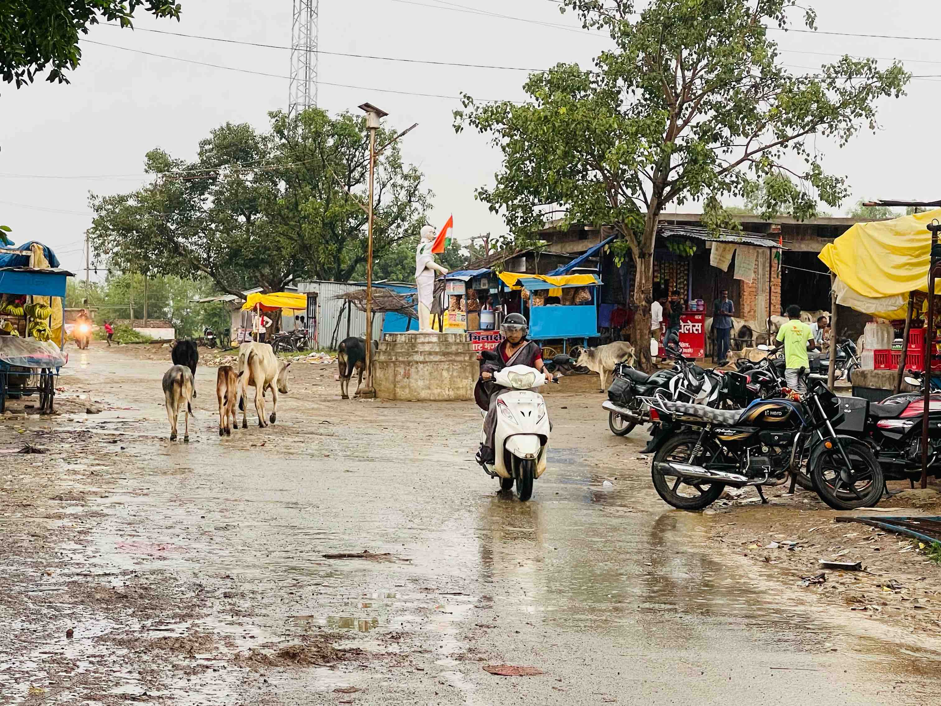 Relief to farmers from rain in Shahdol | शहडोल में बारिश से किसानों को ...