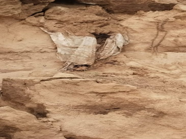 Dead bodies dug up due to illegal excavation, anger among villagers