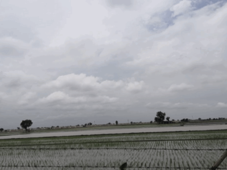 Rajasthan Monsoon Weather Update; IMD Rainfall Alert In Jaipur Ajmer Bharatpur Kota | आज का ...