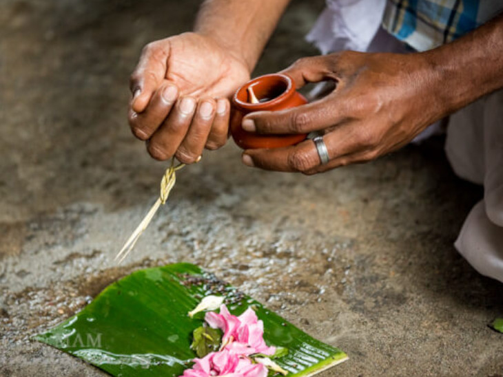 Kusha grass significance in hindu religion, facts about kusha grass ...