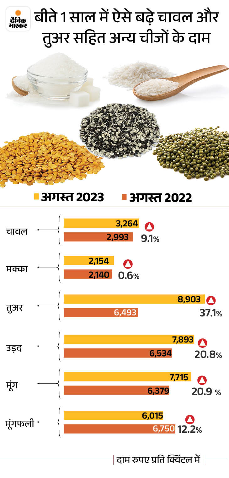 Pulses Price Hike Update; Increased By 37 Percent Due To Less Rainfall ...