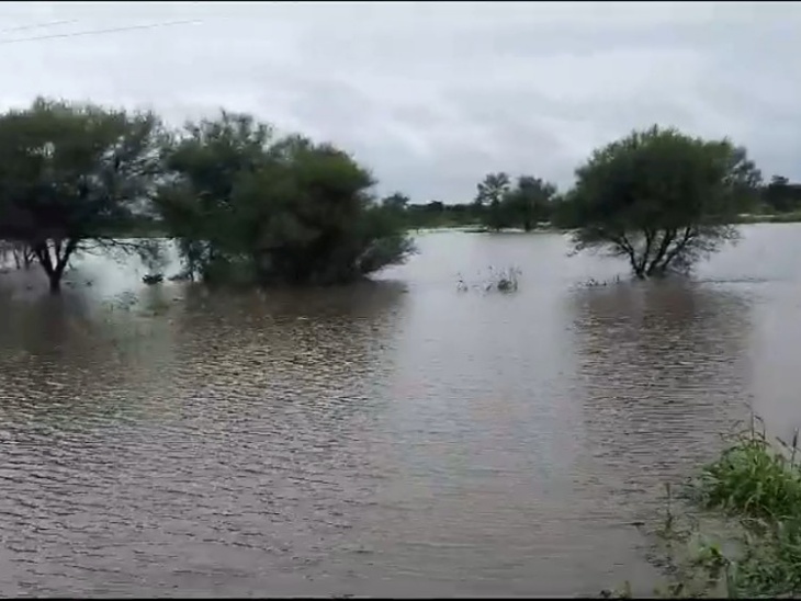 Kadana backwater reaches danger mark in Galiyakot | गलियाकोट में कडाना ...