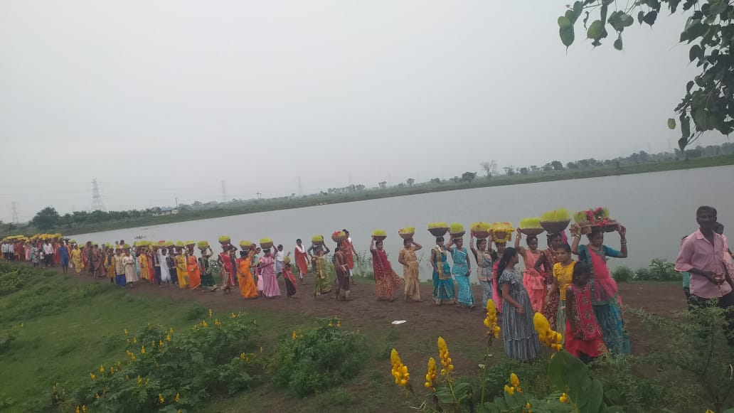 Bhojali was immersed in Jaraud's pond. | जरौद के तालाब में किया गया ...