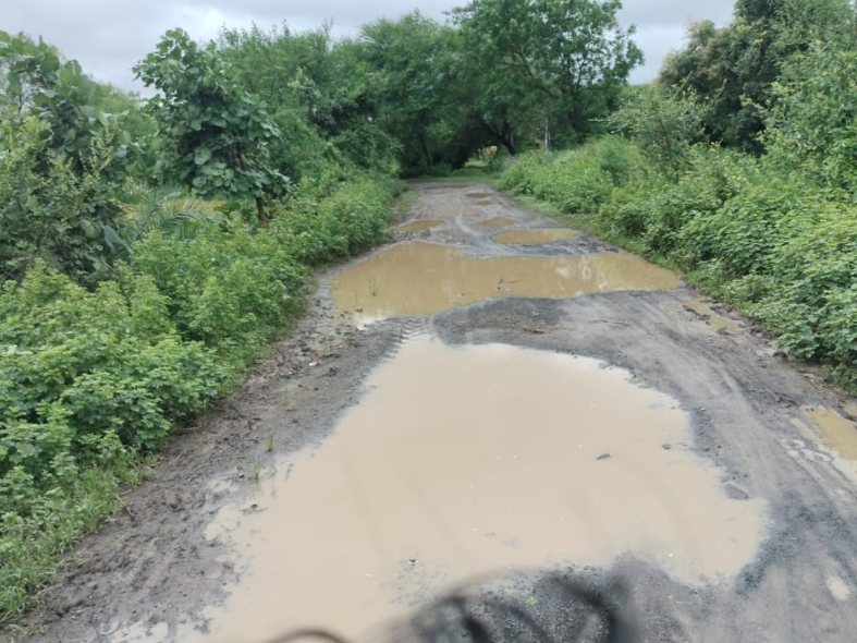 Rajgarh- Villagers troubled by road filled with mud and dirty water ...