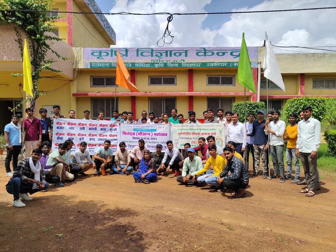Crop museum of coarse grains like jowar, bajra, kutik, kodo, rye ...