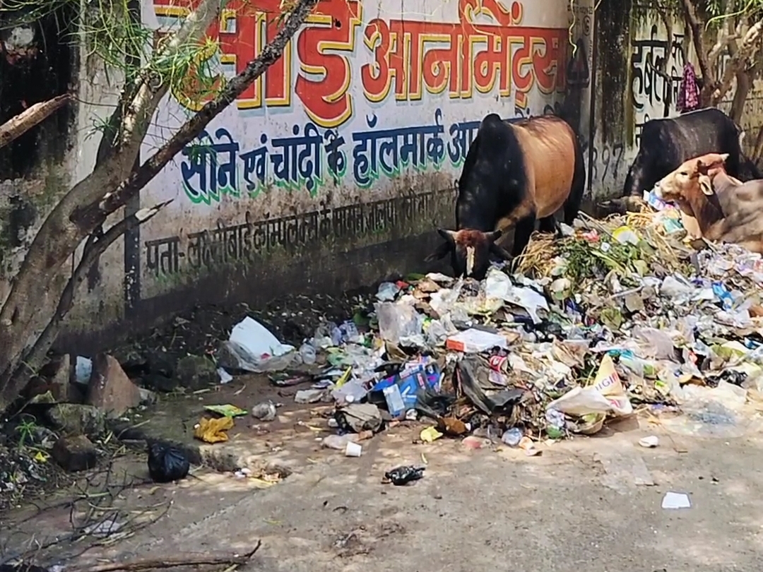 Dumping of garbage in VIP Road