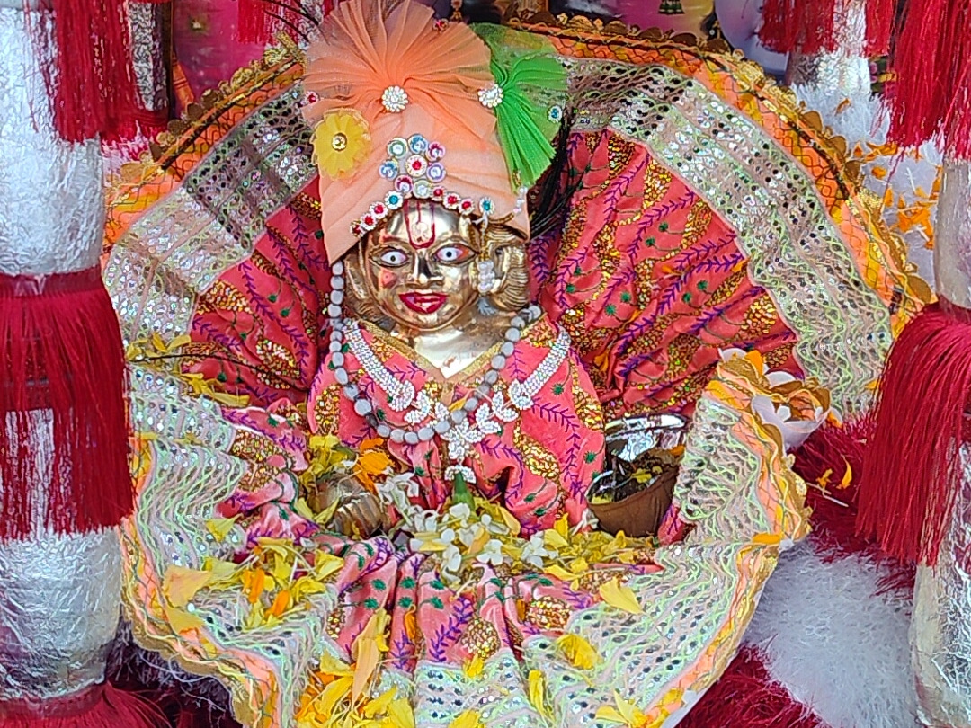 In Raisen, Laddu Gopal came out on the streets to take a dip in the ...