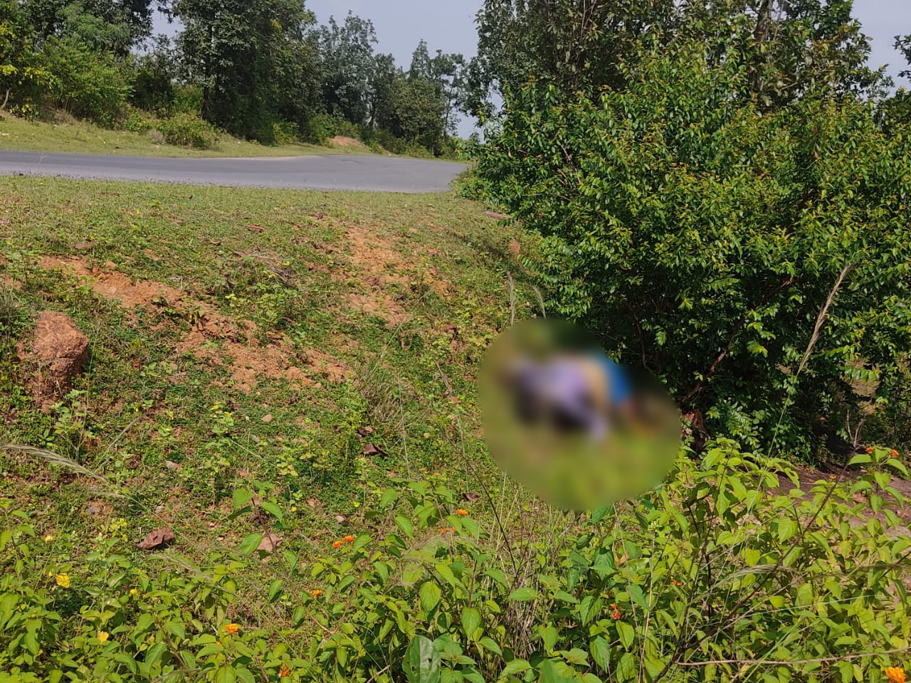 Decomposed dead body found in Korba forest Dead body of person found in ...