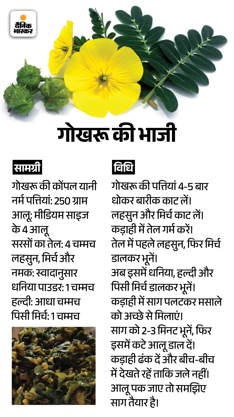 Health Benefits and uses of Gokhru | गोखरू बांझपन दूर करे, हडि्डयां ...