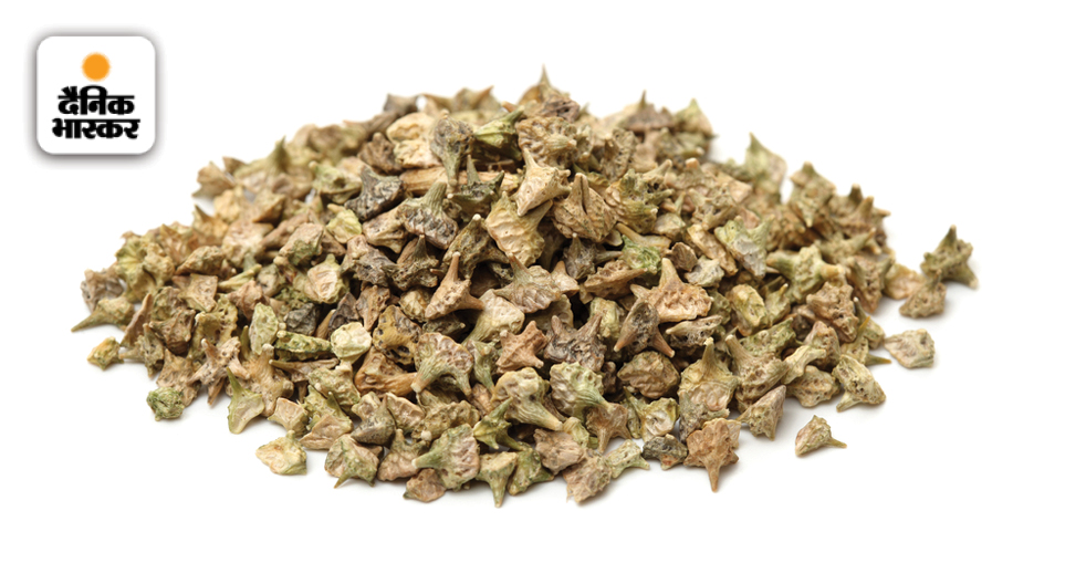 Health Benefits and uses of Gokhru | गोखरू बांझपन दूर करे, हडि्डयां ...