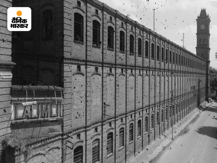 The History and Health Benefits of Tamarind | अफ्रीका से चलकर भारत आई ...