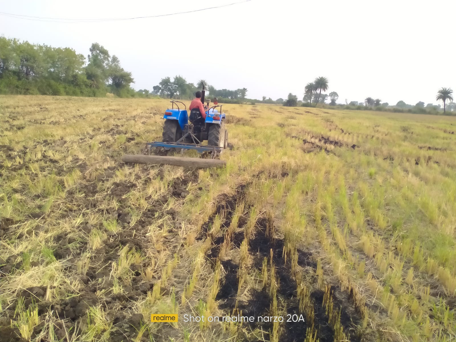 Farmers started preparing fields for Ravi crop. | रवि फसल की तैयारी के ...