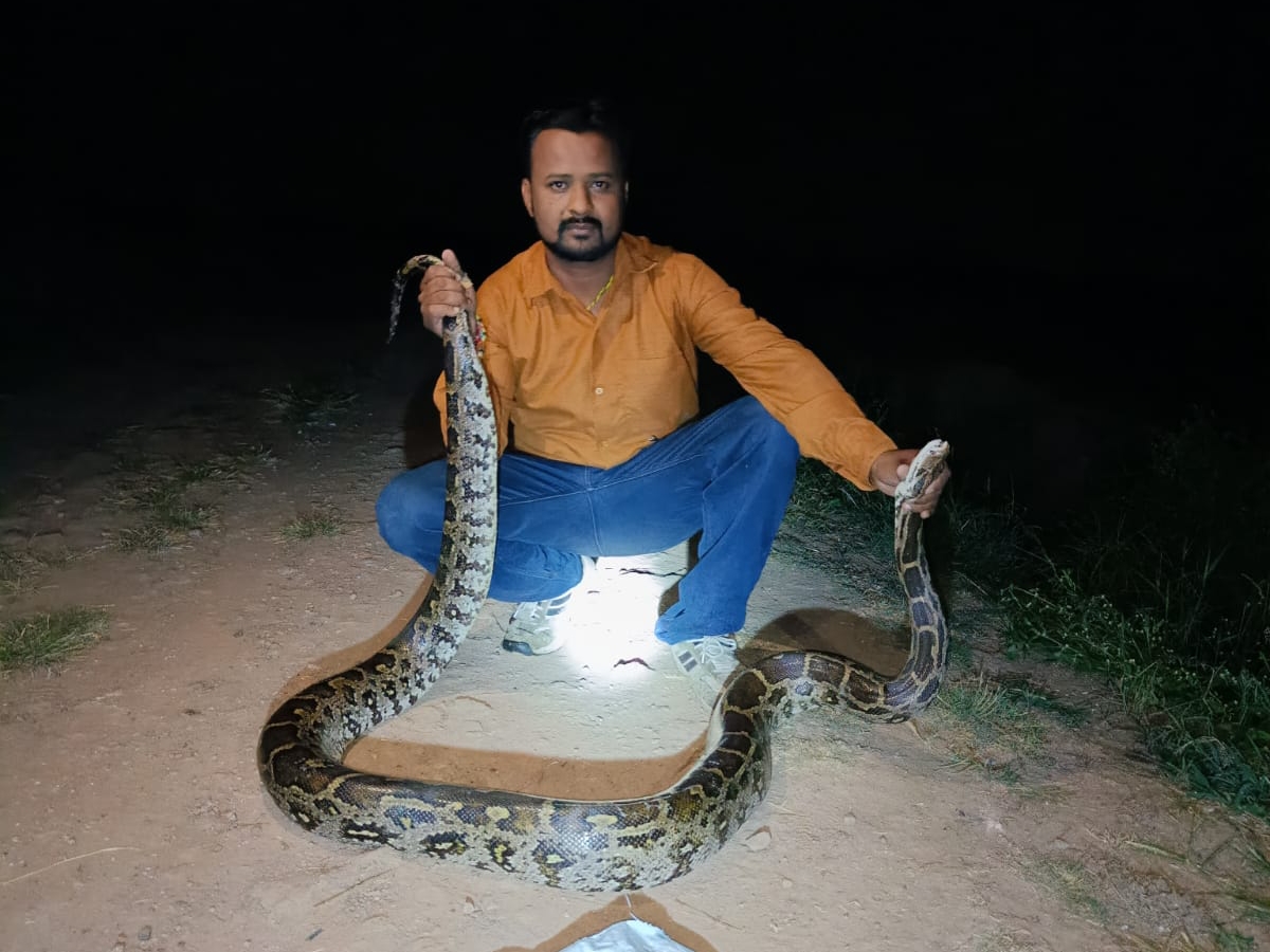 Rescue of 10 feet long python | 10 फीट लंबे अजगर का रेस्क्यू: सर्प ...
