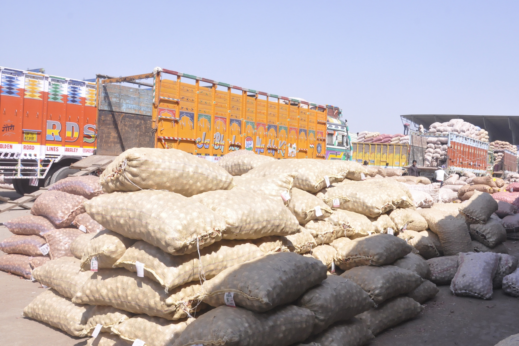 So far Rabi crop has been sown in 74 thousand hectares out of 2.56 lakh ...