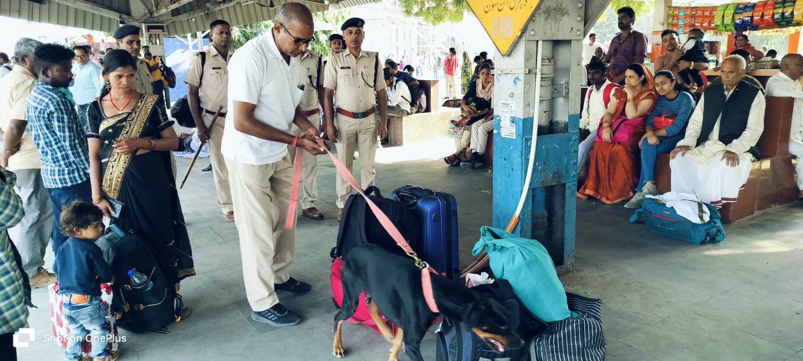Swan squad launched checking campaign for Diwali and Chhath Puja ...