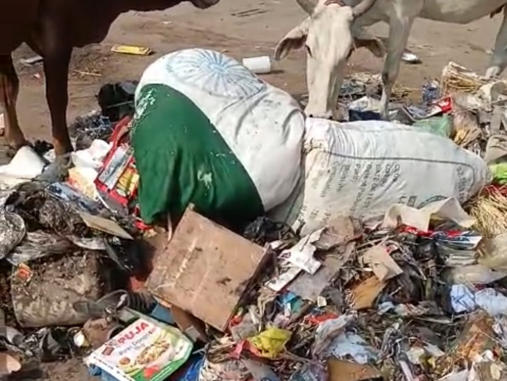 Garbage tied in tricolor and thrown in a heap Traffic constable secured ...