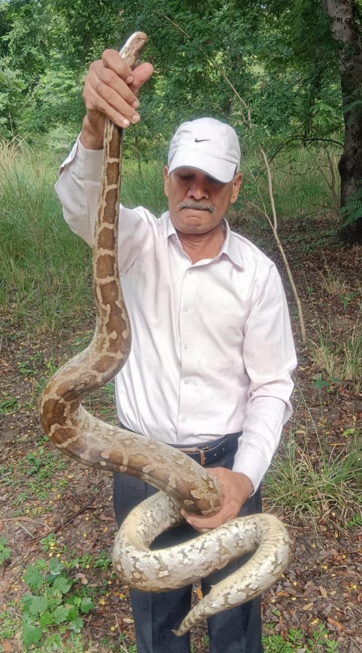 Story of Professor NB Singh of Allahabad University who saved snakes ...