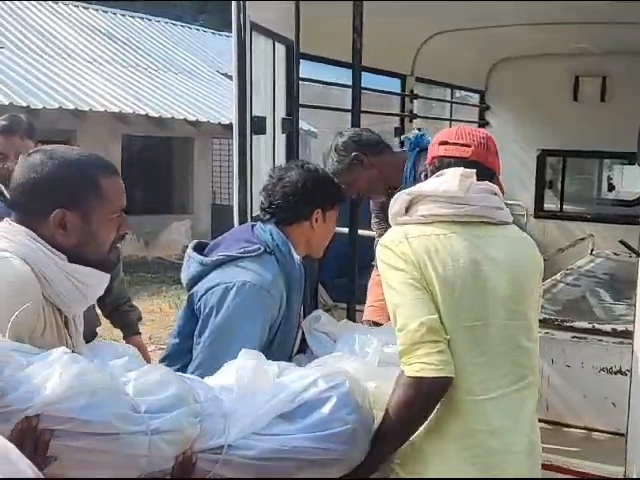 Tusk elephant crushes farmer to death, Was guarding the paddy crop in ...