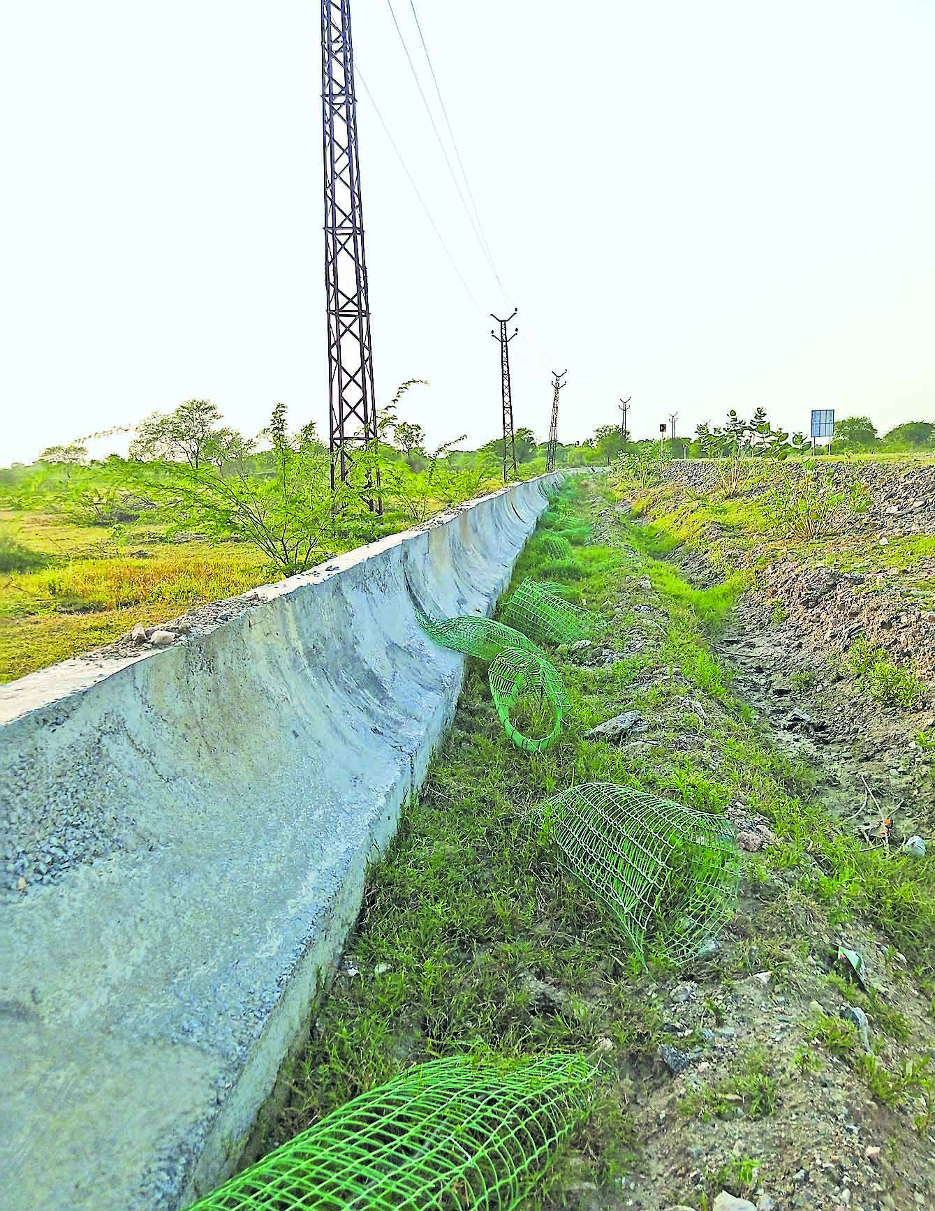 200 crore project; Plastic tree guards and plants broken within 3 ...