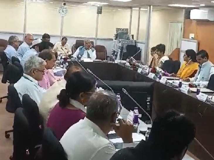 'Put a plant instead of a red rose, it increases greenery' says ...