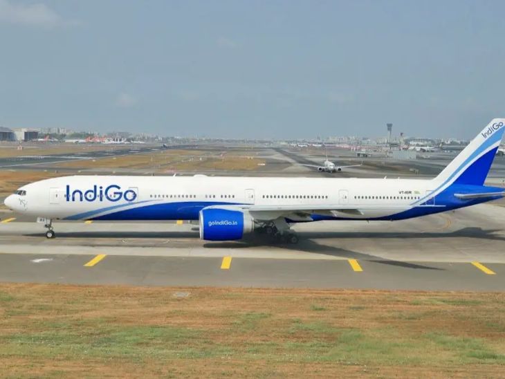 Stray dog enters Goa airport runway, forces Vistara flight to return to ...