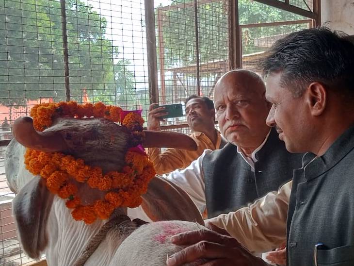 Gopashtami celebrated in Ayodhya, Champat Rai worshipedण्Ayodhya ...