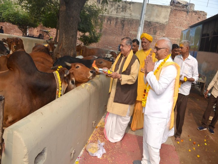 Gopashtami festival was celebrated everywhere in Mathura, cow worship ...