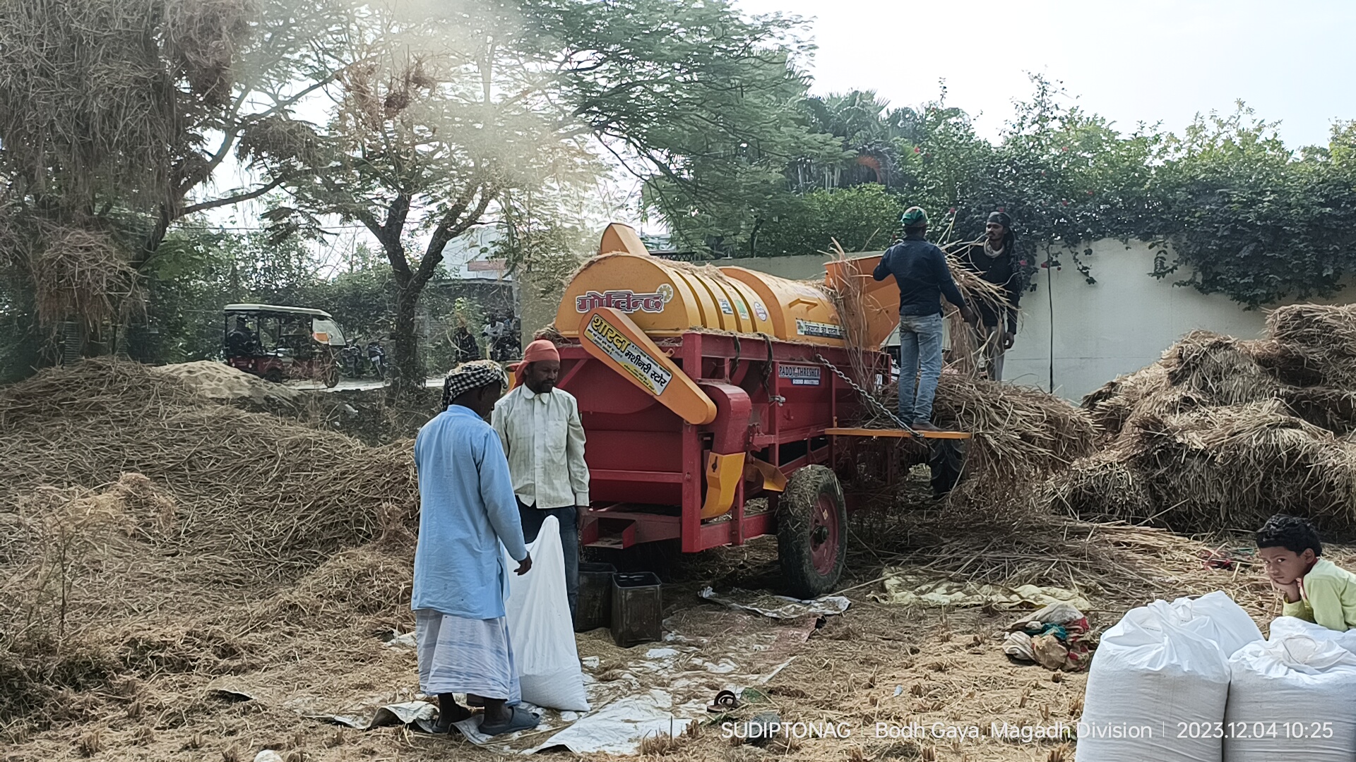 There has been very good yield of paddy this year in Bodh Gaya block ...