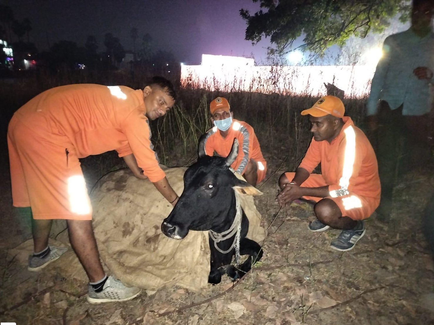 Cow fell into 60 feet deep well in Varanasi | वाराणसी में 60 फीट गहरे ...