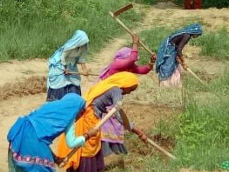 The Pace Of Work In Mnrega Scheme Slowed Down मनरेगा योजना में कामों की रफ्तार हुई धीमी 60