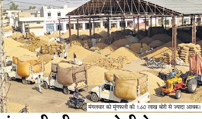Difficulties increased despite double bidding of peanuts, reason ...