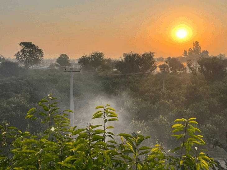 Kinnoo Ki Kheti | Rajasthan Farmer Akshay Kinnow Farming Success Story ...