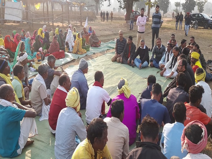 Thousands of trees cut for coal block in Hasdev area | हसदेव क्षेत्र ...