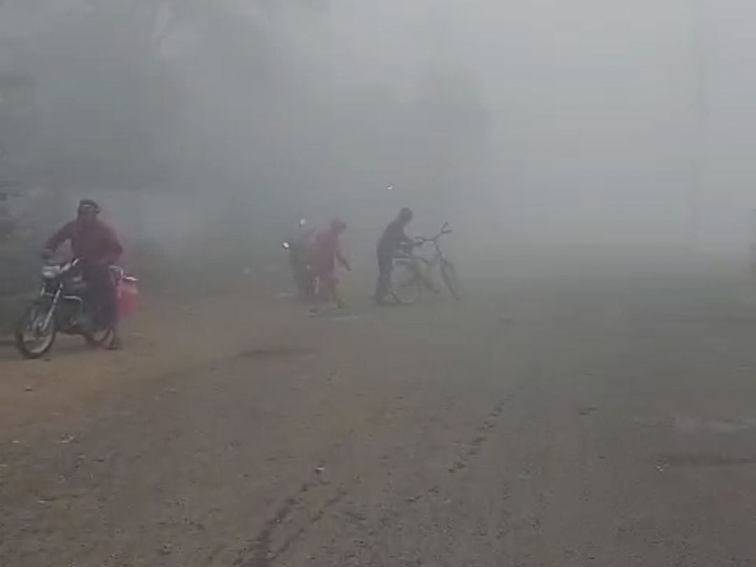 Shadow fog in Damoh: People felt intense cold amid the dense fog since ...
