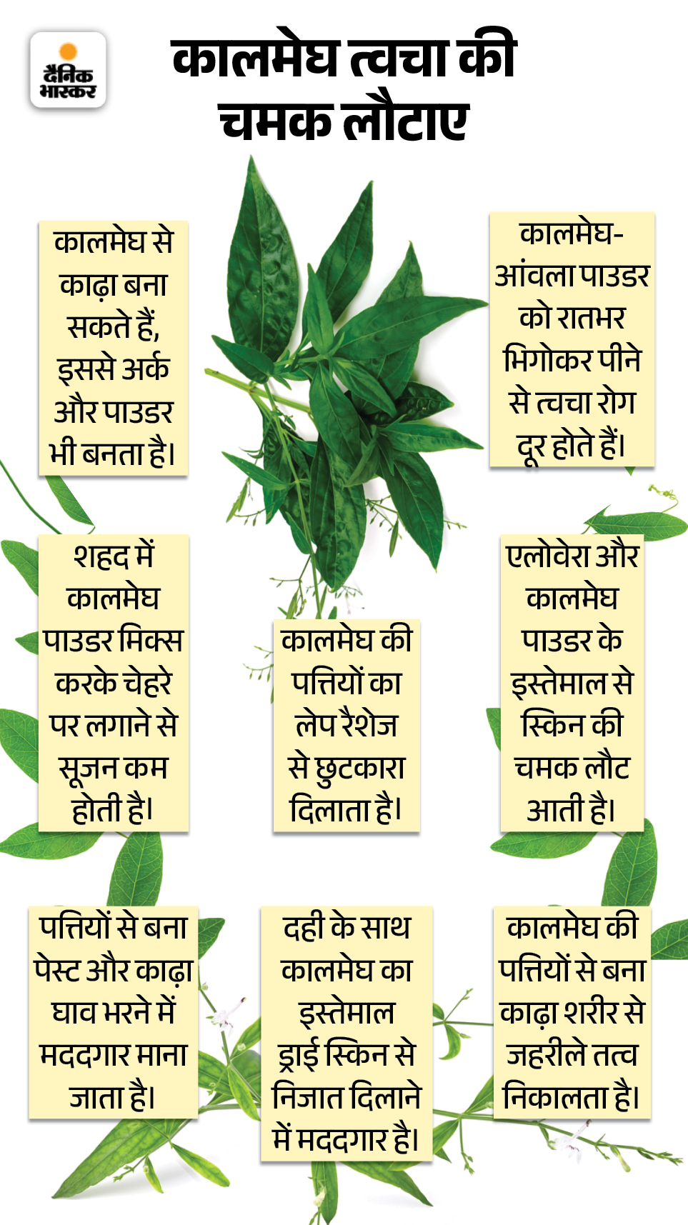Kalmegh: Health Benefits Of Plant And Its Uses | सांप-बिच्छु का जहर ...