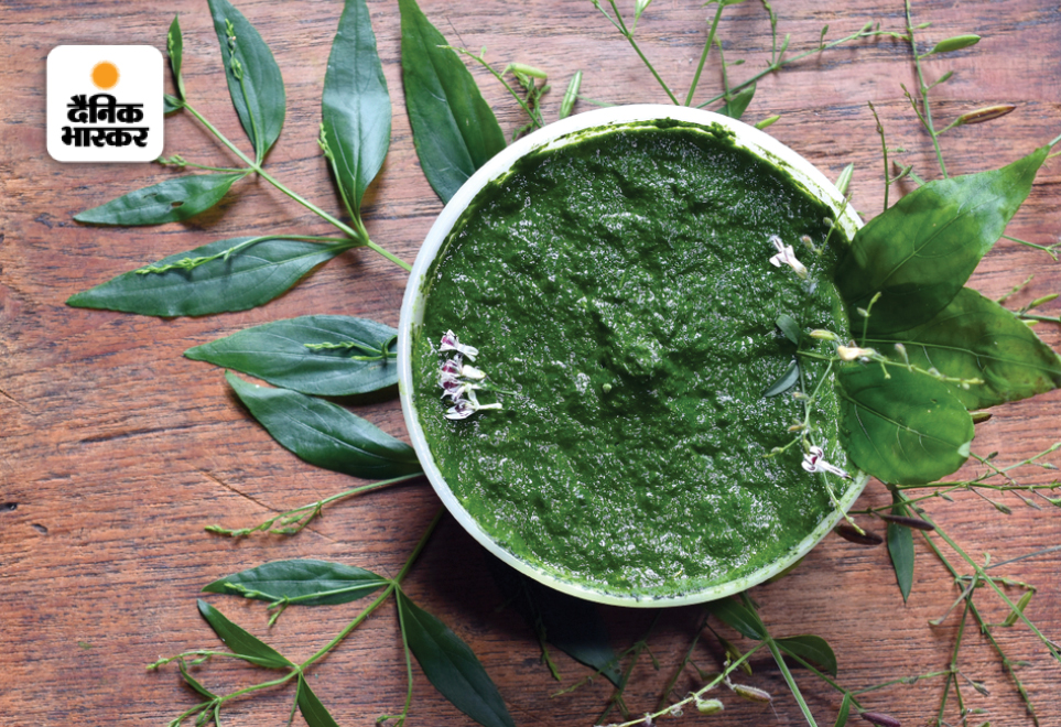 Kalmegh: Health Benefits Of Plant And Its Uses | सांप-बिच्छु का जहर ...